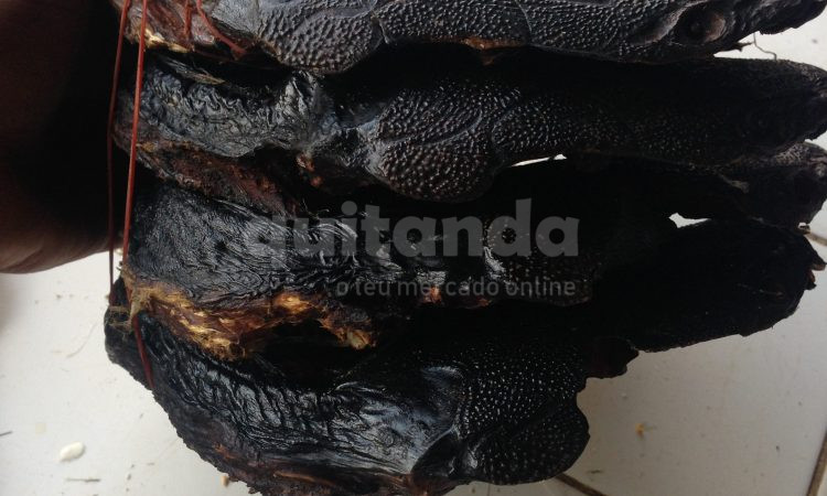 Peixe bagre fumado - Quitanda