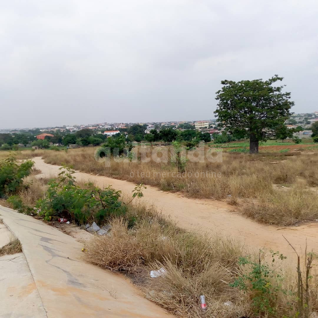 Terreno 2 hectares em frente a estrada principal - Quitanda